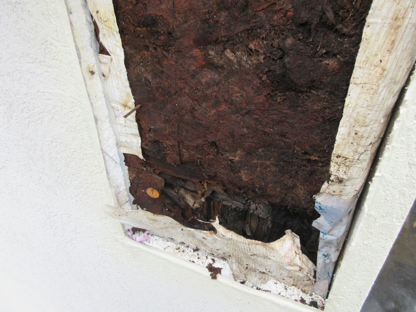 Don’t Get Drained with Different Types of EIFS | Envista Forensics