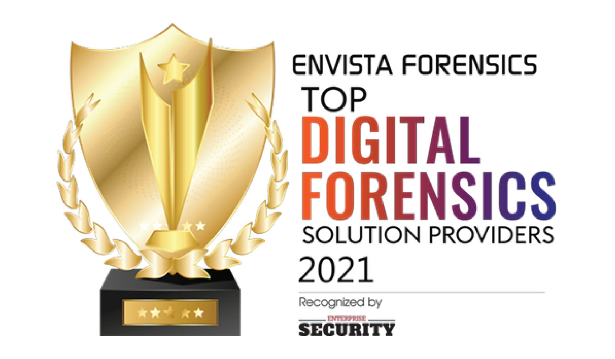 About Us | Envista Forensics
